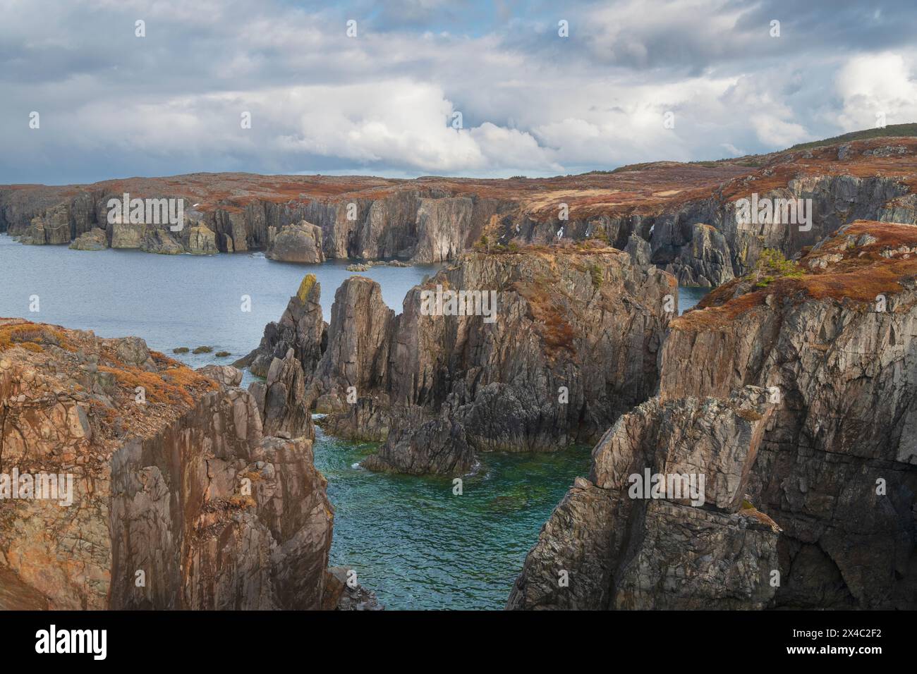 Cable John Cove, a Discovery UNESCO Global Geopark, Bonavista Peninsula ...