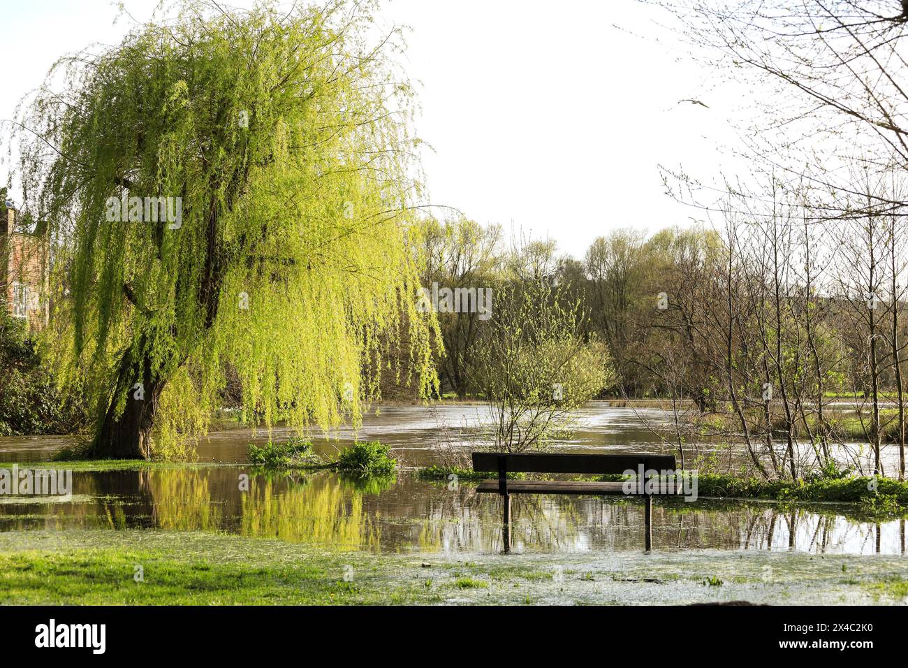The River Avon Burst its banks in Queen Elizabeth Gardens in Salisbury ...