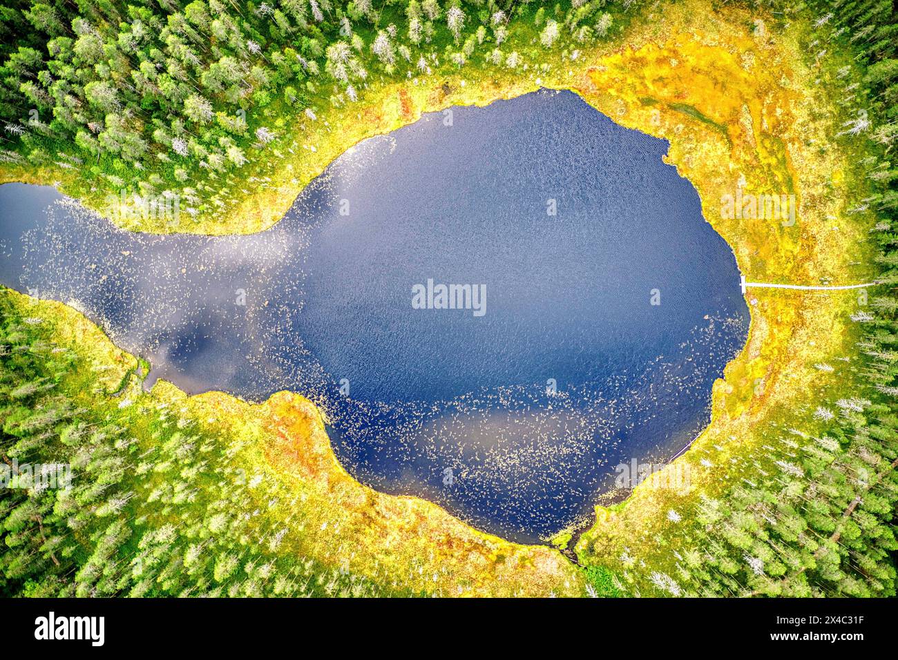 Finland, Kainuu, Hiidenportti National Park. Lake in the forest, the ...