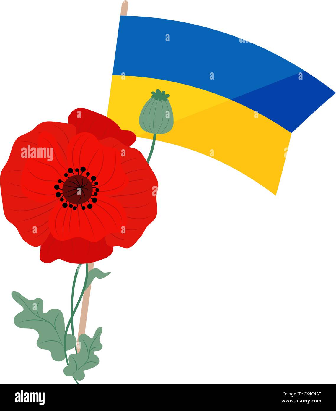 Poppy Flower Vector