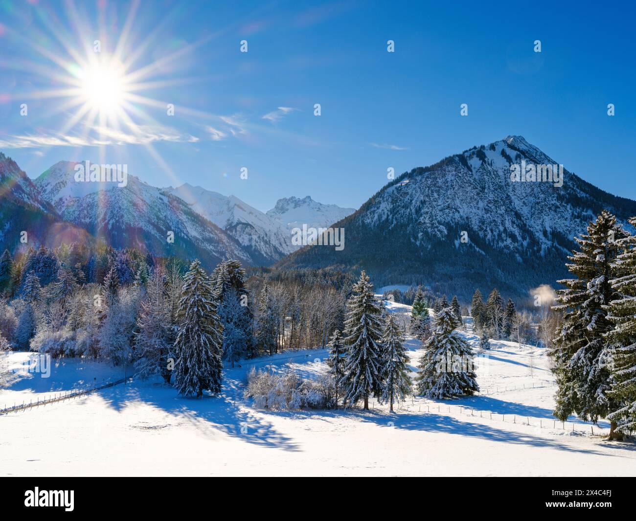 View from Dienersberg towards valley of river Trettach. The Allgau Alps ...