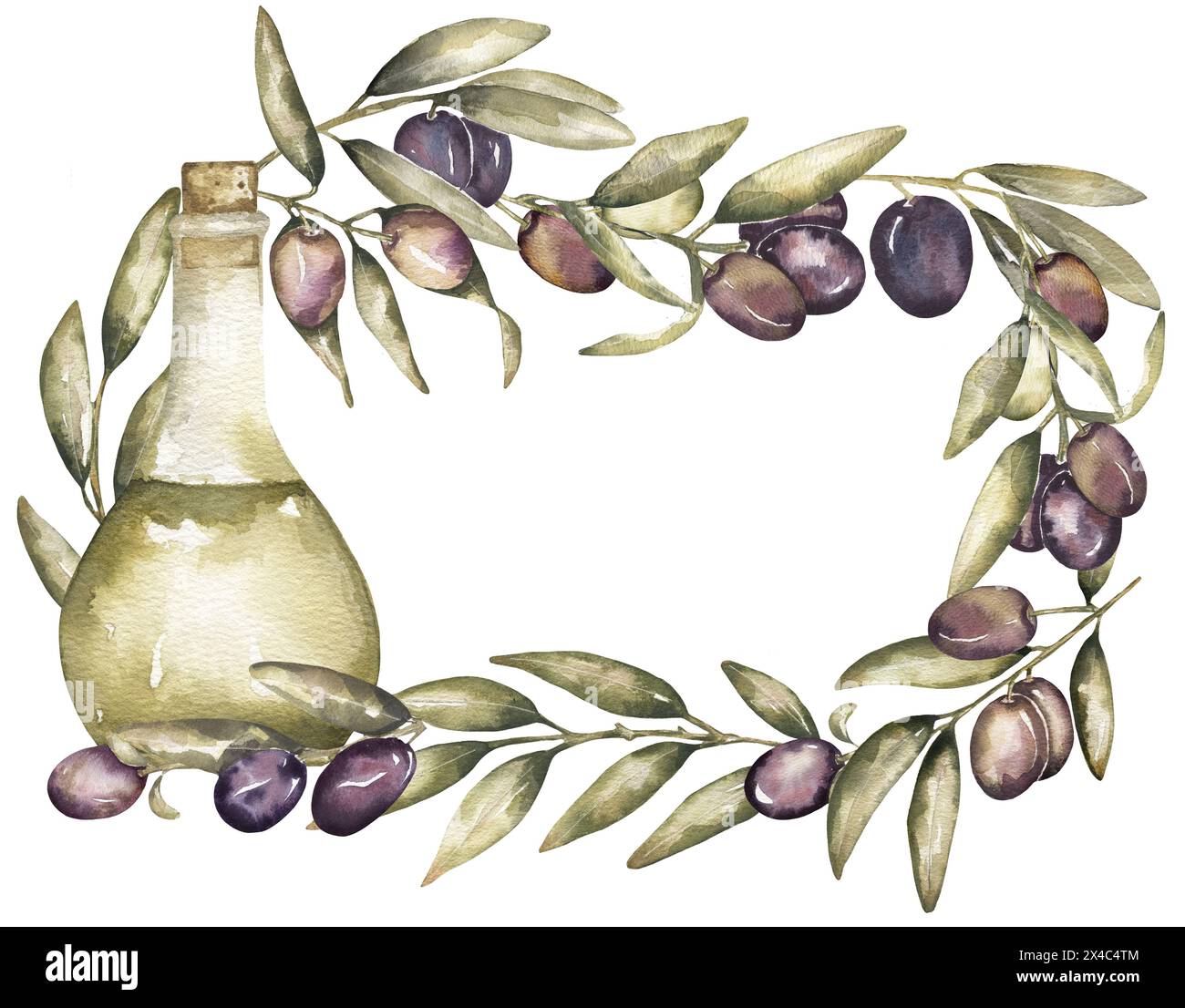 Olive botanical organic ripe Cut Out Stock Images & Pictures - Alamy