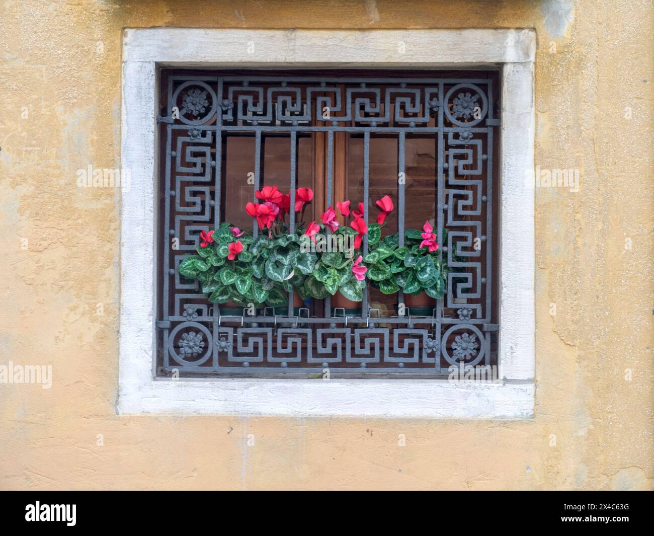 Italy, Venice. Window with ornate grating and flower boxes in a Venice ...