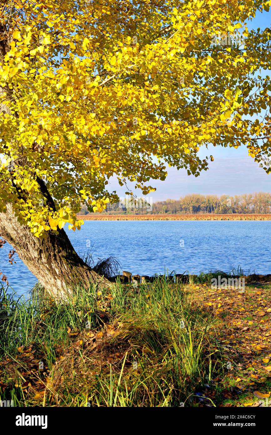 Poplar reserve hi-res stock photography and images - Alamy