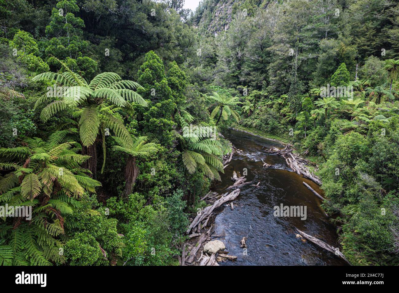 A view of the Tangarakau River from a bridge over the Forgotten World ...
