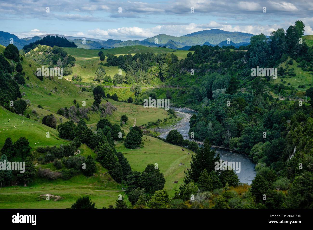 The Whanganui River from Piriaka Lookout, Manawatu-Whanganui Region ...