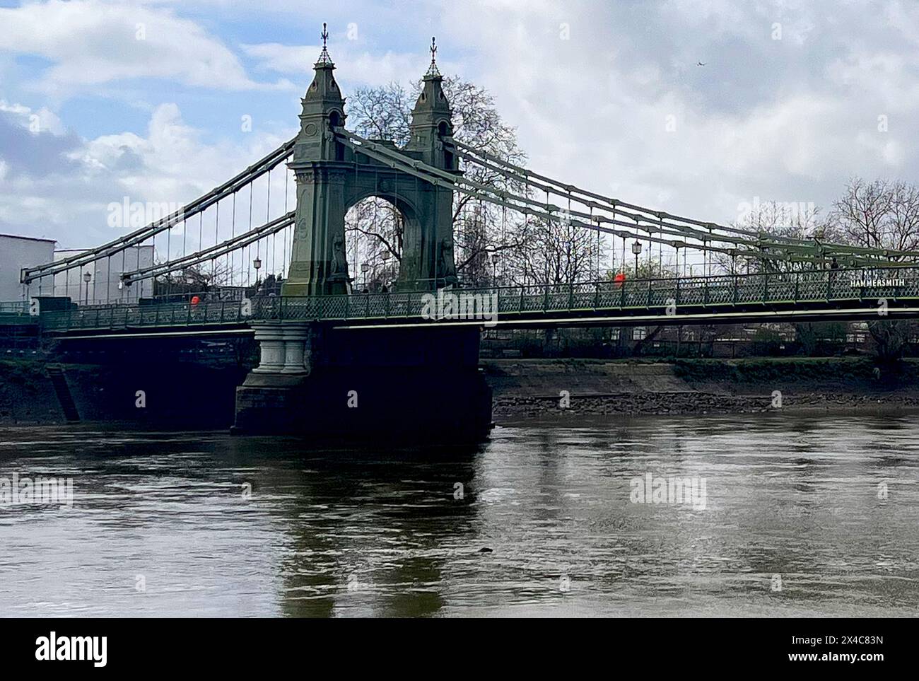 SEAL SPOTTED IN LONDON © Jeff Moore - Local residents in Hammersmith ...
