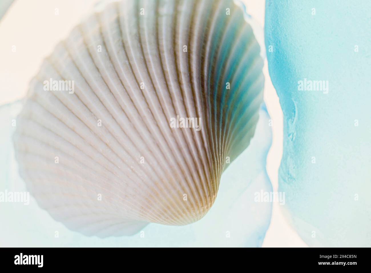 Light blue glass hi-res stock photography and images - Alamy