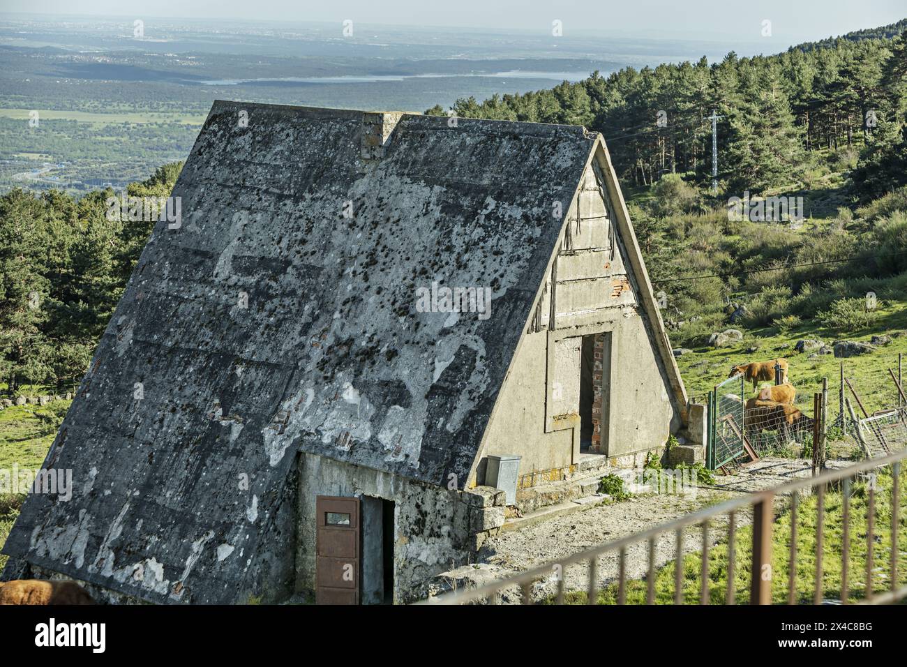 An abandoned mountain house with grazing cows in the mountains of ...