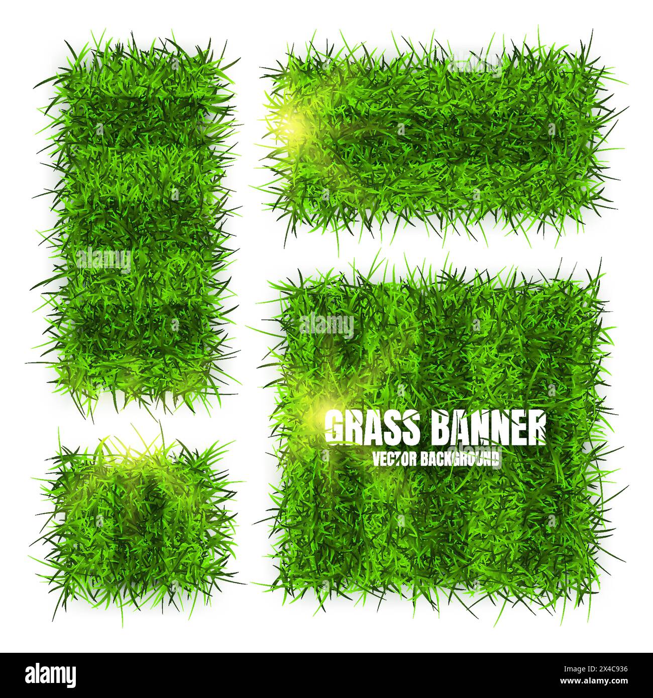 Green grass banners, background. Field, meadow texture, grassy ...