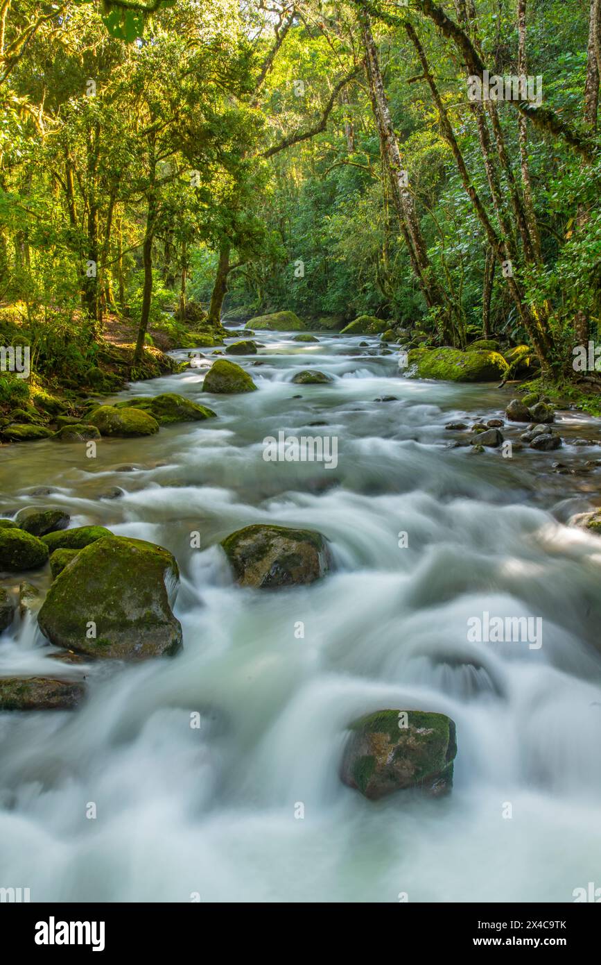 Costa Rica, Cordillera de Talamanca. Savegre River rapids Stock Photo ...
