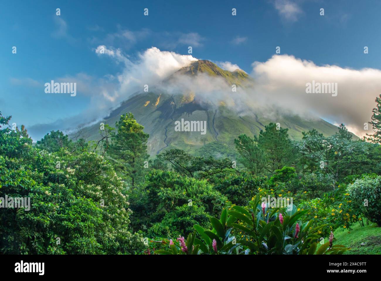 Costa Rica, Arenal Observatory. Arenal Volcano and jungle Stock Photo ...