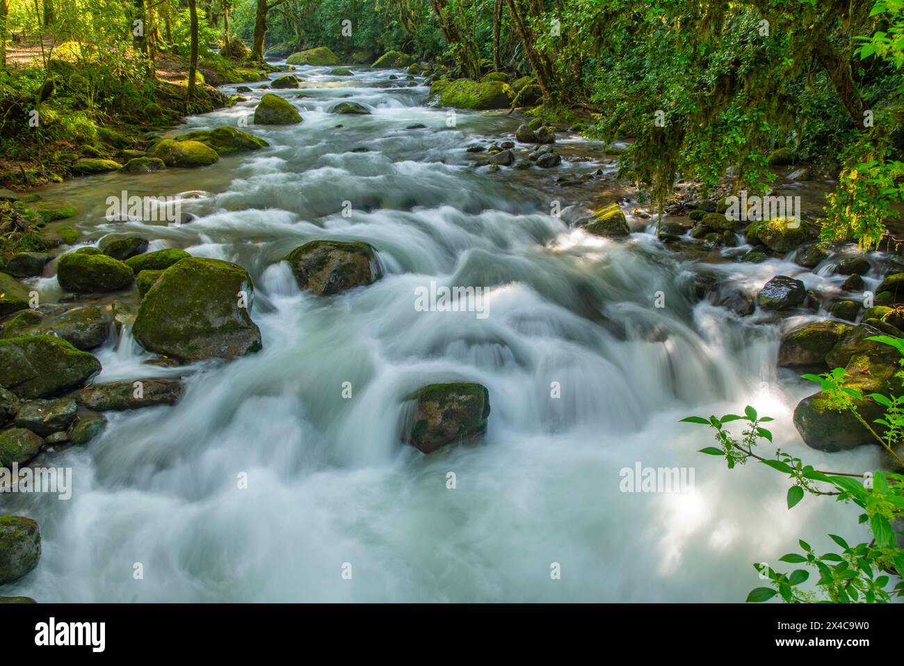 Costa Rica, Cordillera de Talamanca. Savegre River landscape Stock ...