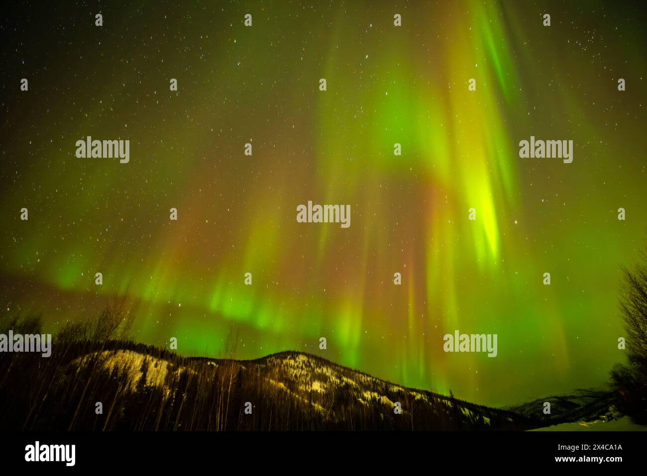 Alaska northern lights hi-res stock photography and images - Alamy