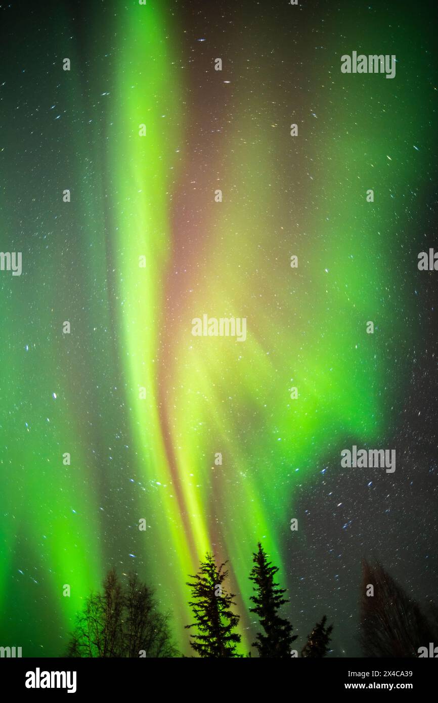 Stars in alaska sky hi-res stock photography and images - Alamy