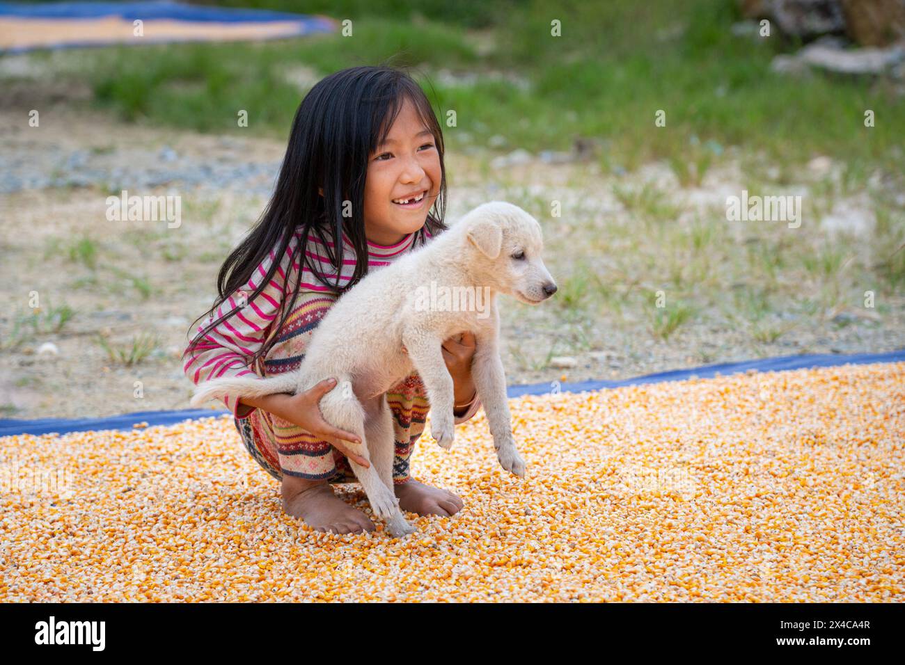 Young girl playing with a dog, Lao Cai Province, Vietnam Stock Photo ...