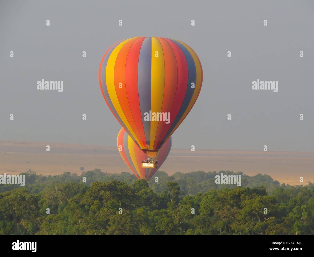 Hot air balloon in flight over the Masai Mara National Park Stock Photo ...