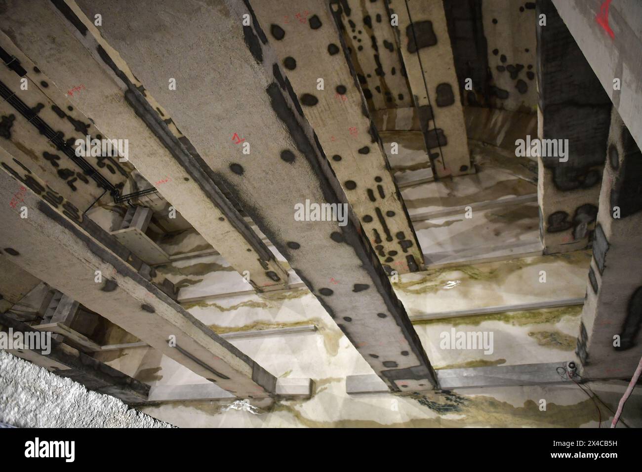 Austerlitz basin hi-res stock photography and images - Alamy