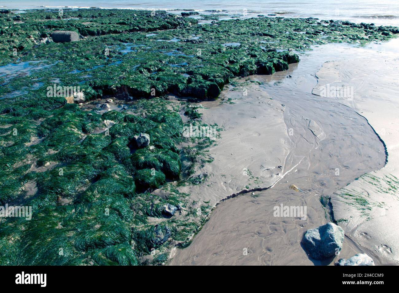 Wide-Angle view of the The Beach at Oldstairs Bay, at low Tide, showing ...