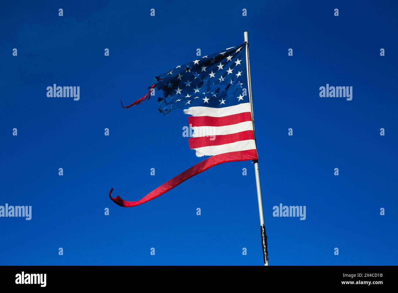 Us Flag Ripping In Half 1,200+ Ripped American Flag Stock Photos,