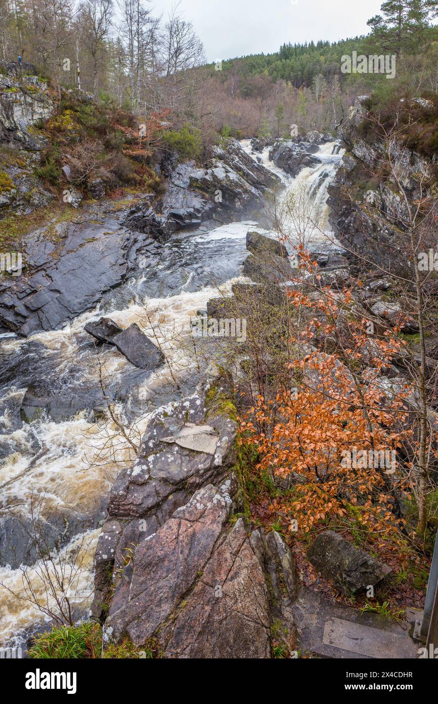 The Black water river at Rogie Falls Stock Photo - Alamy