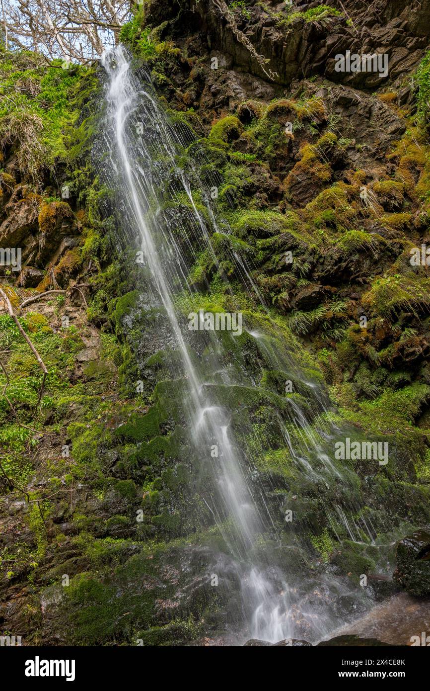 Golspie scotland hi-res stock photography and images - Alamy