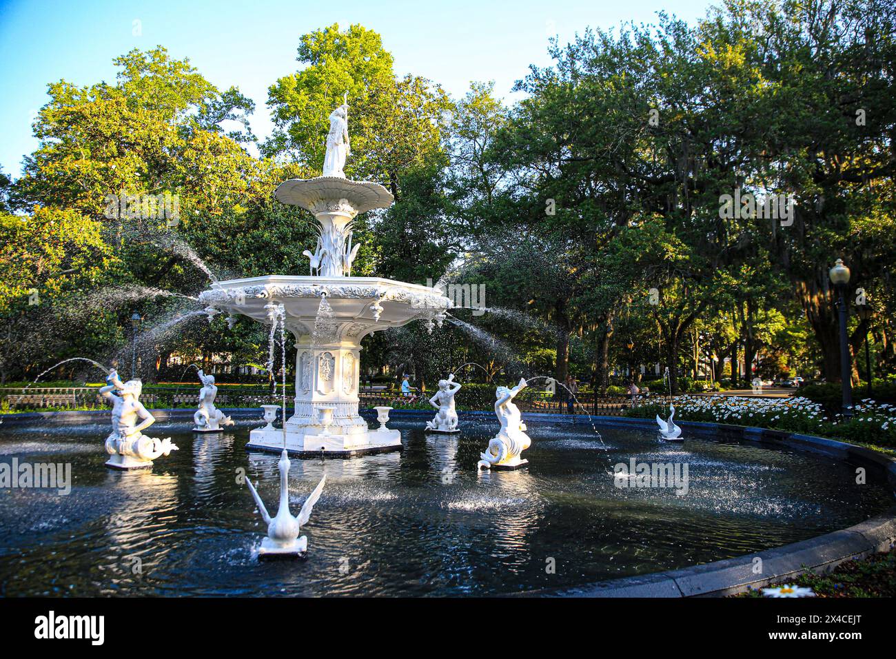 Forsyth park fountain swan hi-res stock photography and images - Alamy