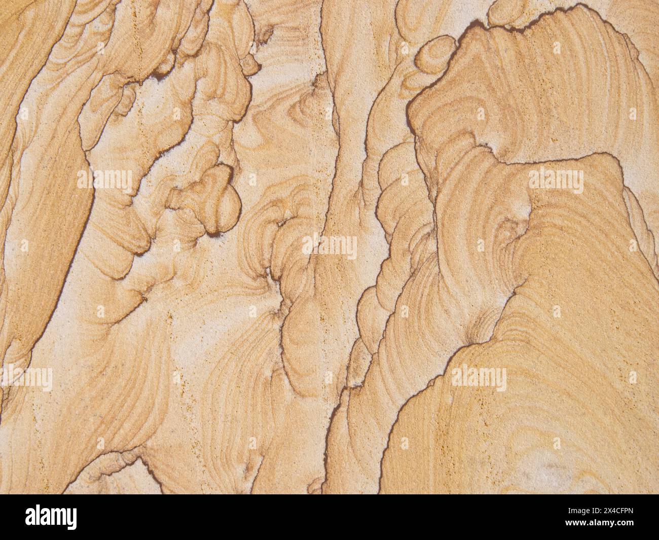USA, New Mexico, Sante Fe. Texture of a tall stone on display in Sante ...