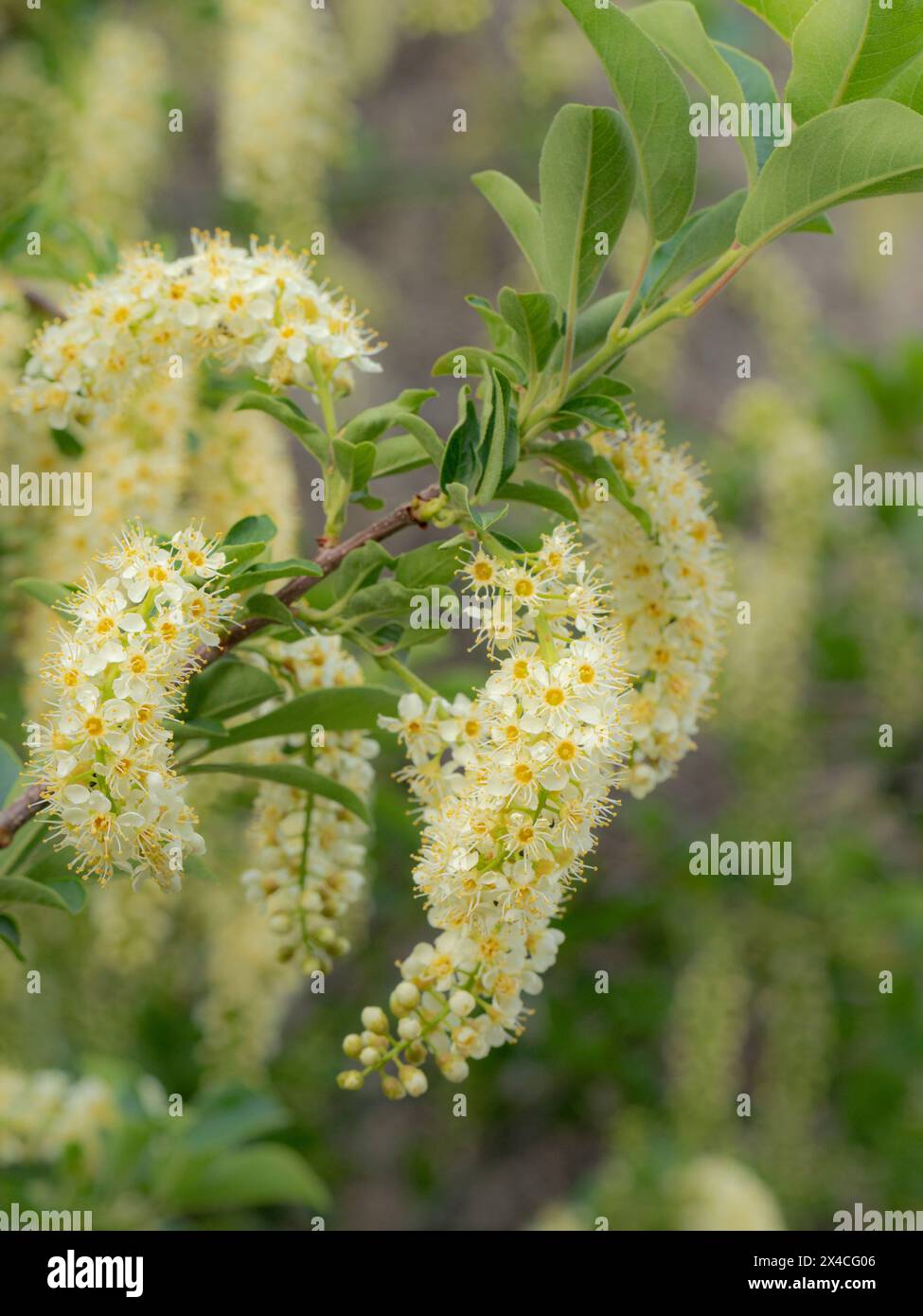 Embudito trail hi-res stock photography and images - Alamy