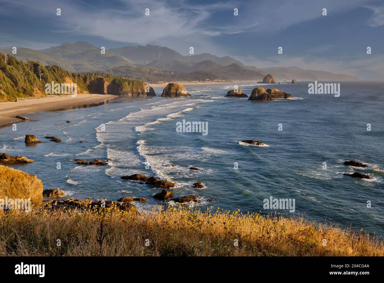USA, Oregon. Cannon Beach, Ecola State Parks coastline Stock Photo - Alamy