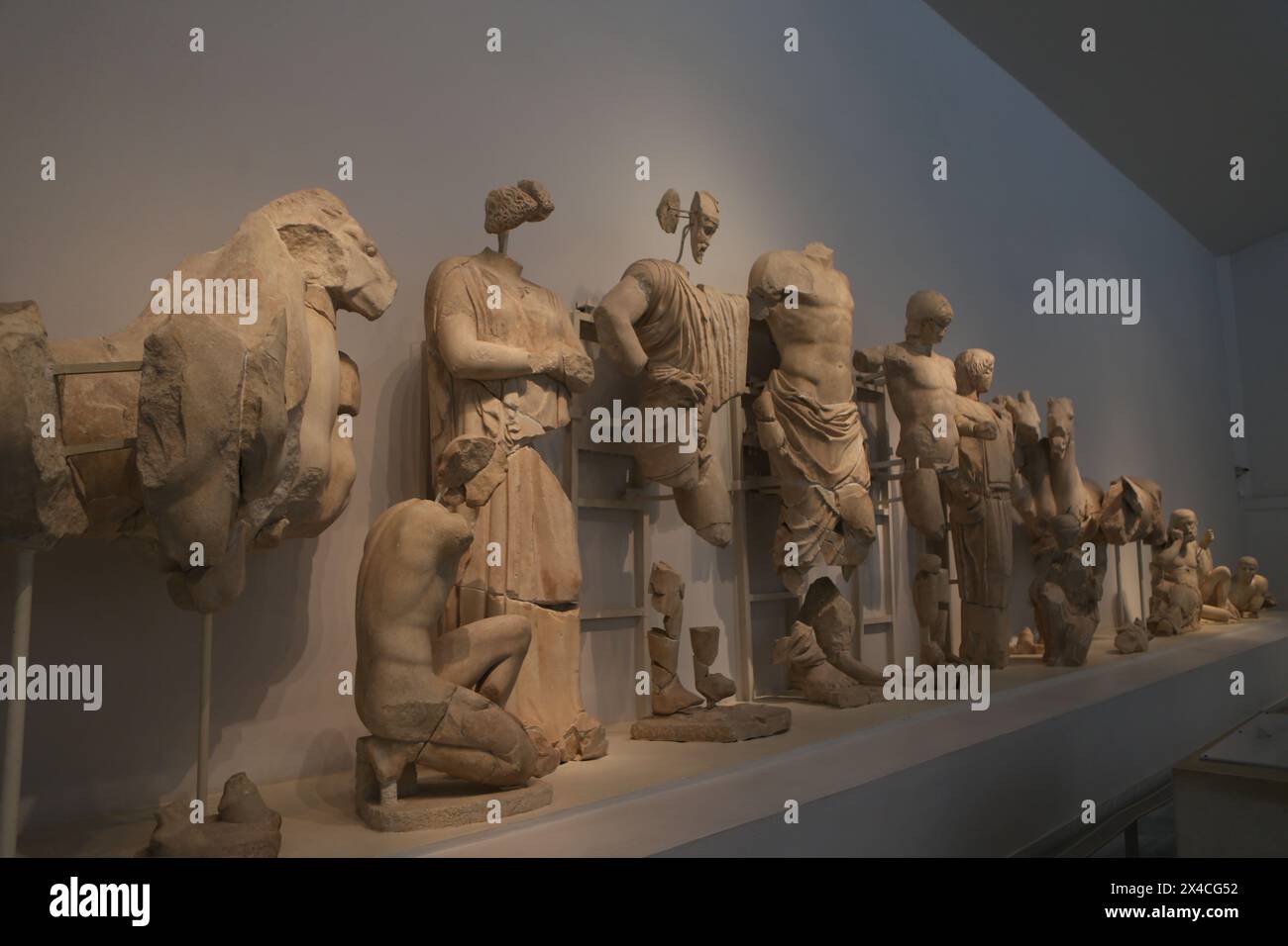 The unique marble pedimental sculptures and metopes of the temple of ...