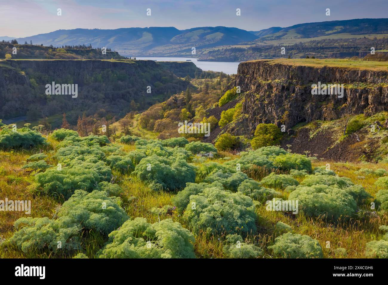 USA, Oregon, Rowena. Tom McCall Preserve along the Historic Columbia ...