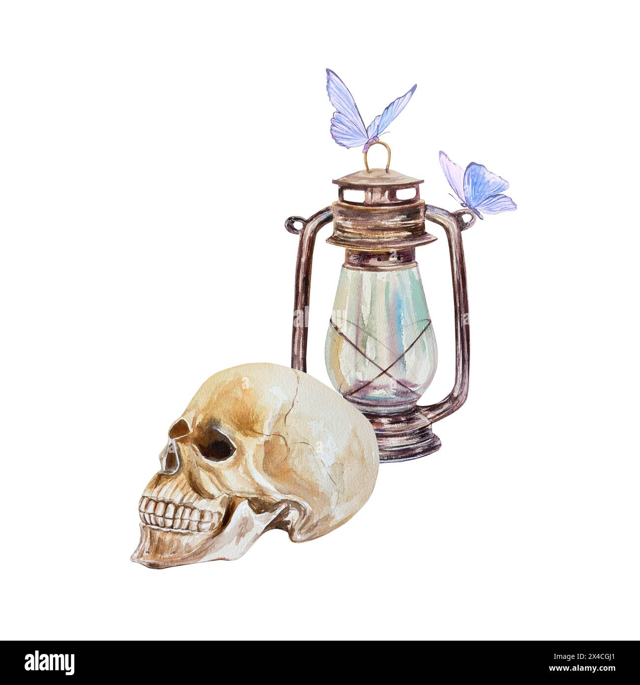 Lamp, antique with blue moths, skull in profile. Hand drawn watercolor ...