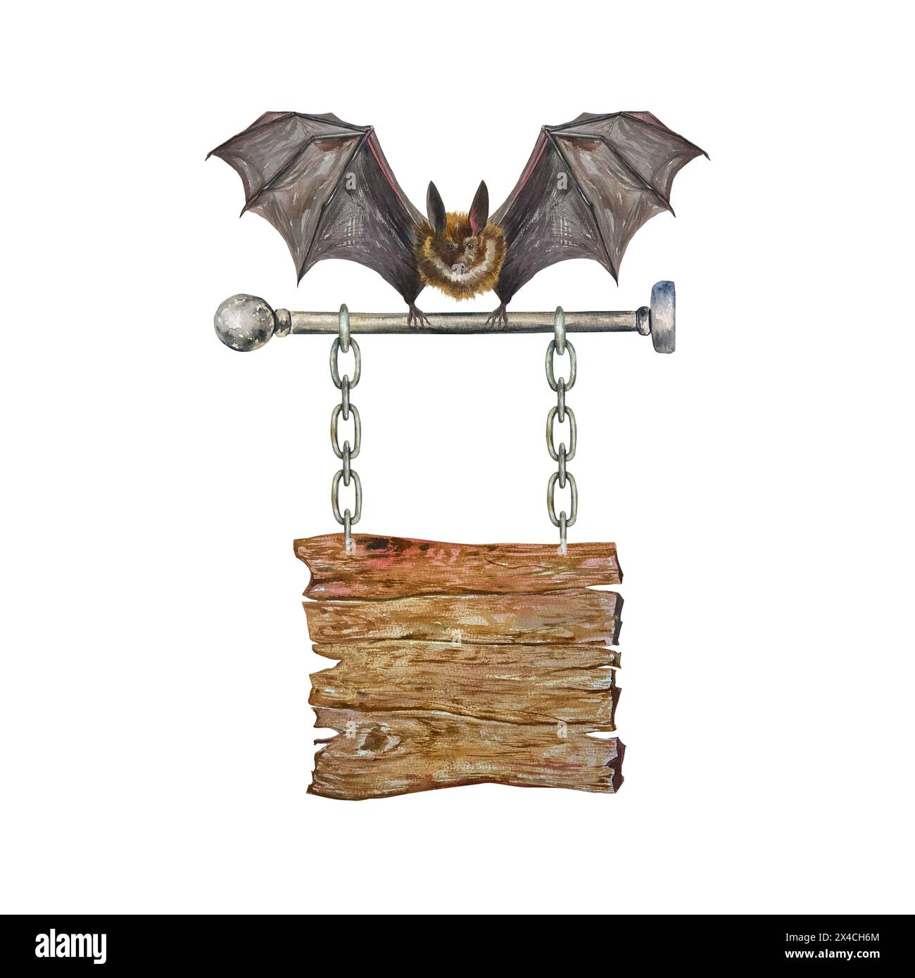 Bat with a wooden board. Hand drawn watercolor illustration isolated on ...