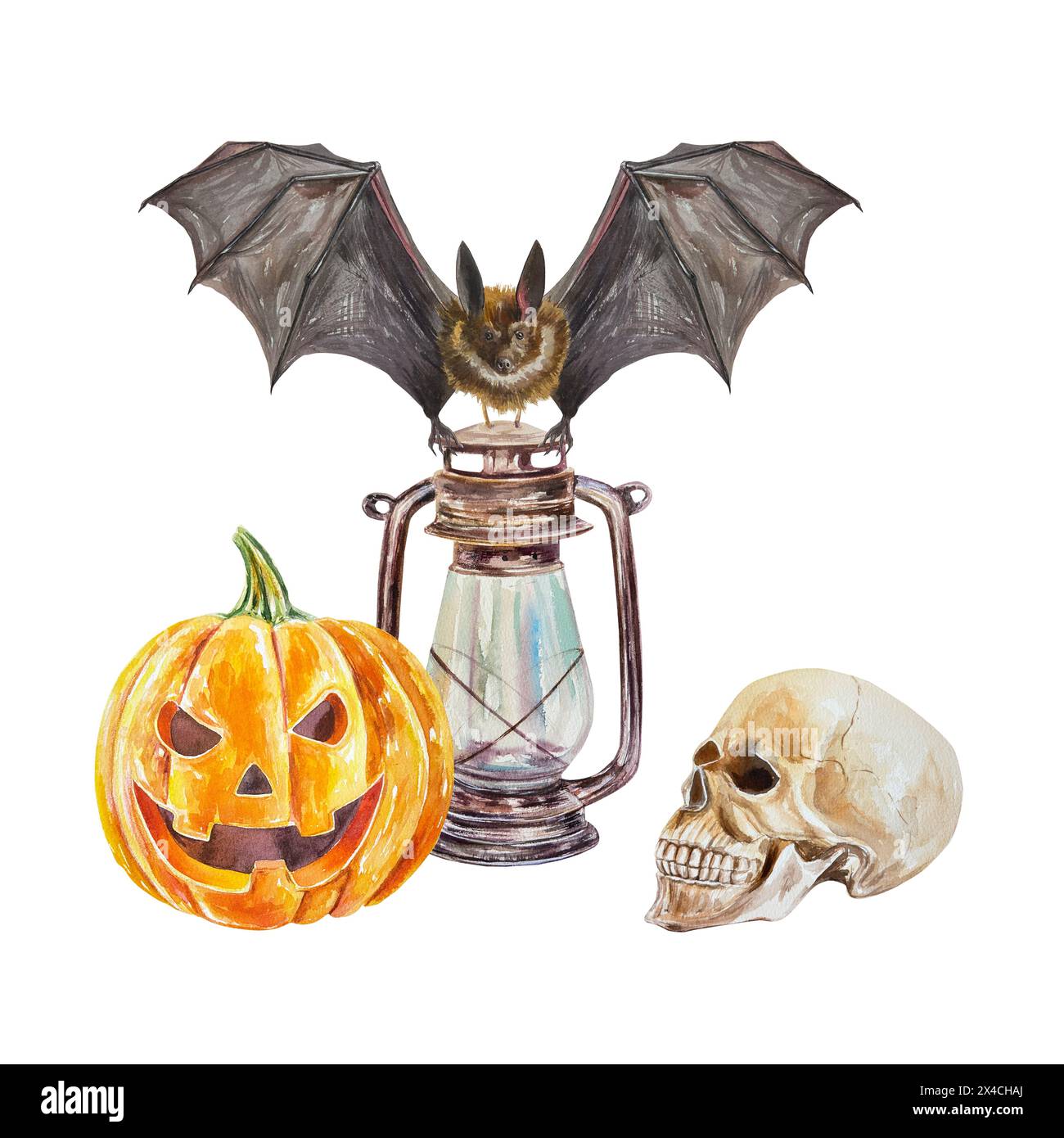 Bat, pumpkin, lamp, human skull. Hand drawn watercolor illustration ...
