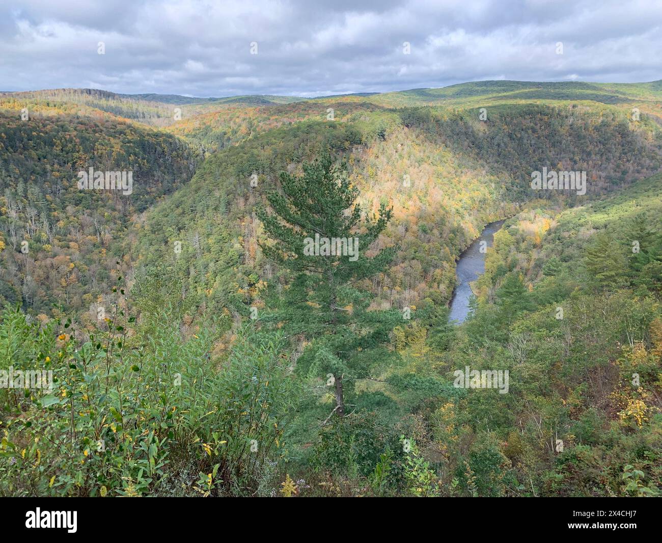 The Grand Canyon of Pennsylvania, also Pine Creek Gorge, stretches for ...