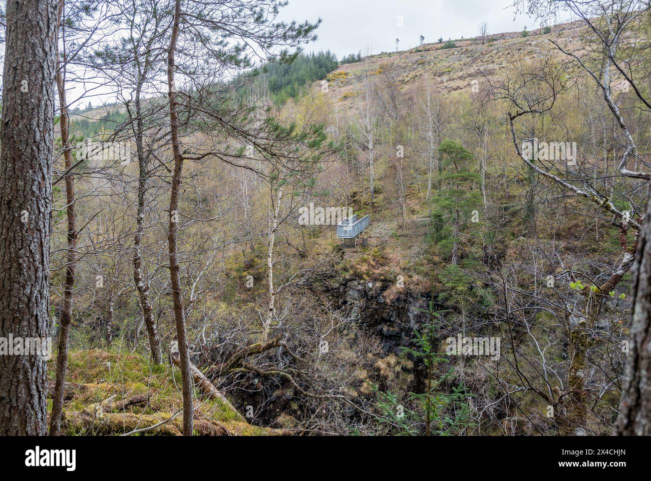 The cantilevered viewing platform for visitors to look down into the ...