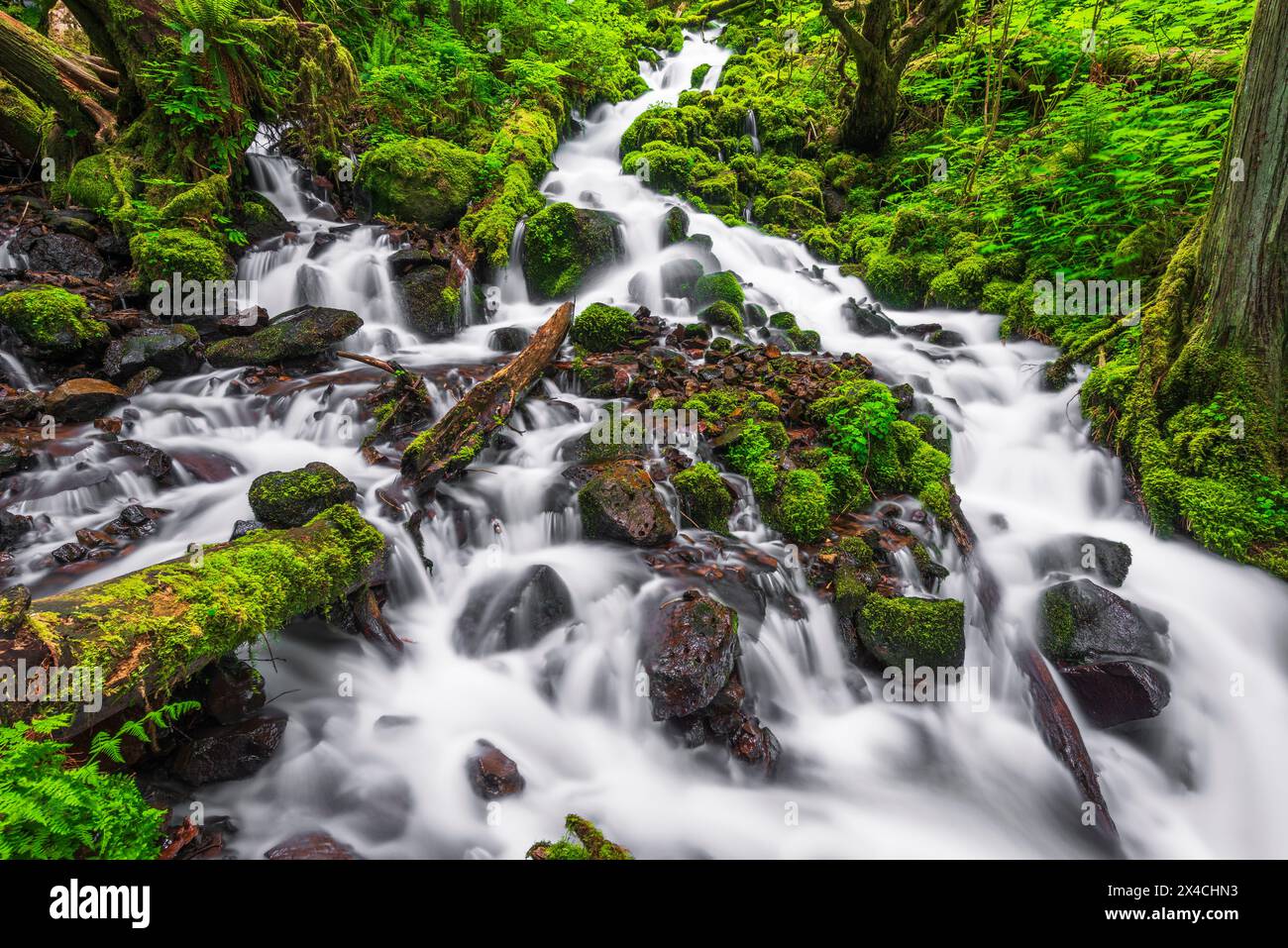 Cascade on Wahkeena Creek, Columbia River Gorge National Scenic Area ...