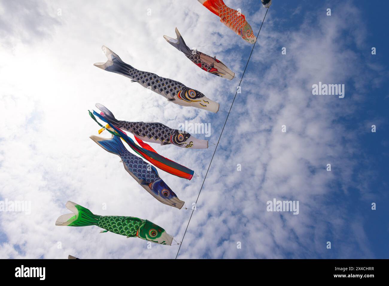 Koinobori decoration fly in the wind to celebrate Children's Day in ...