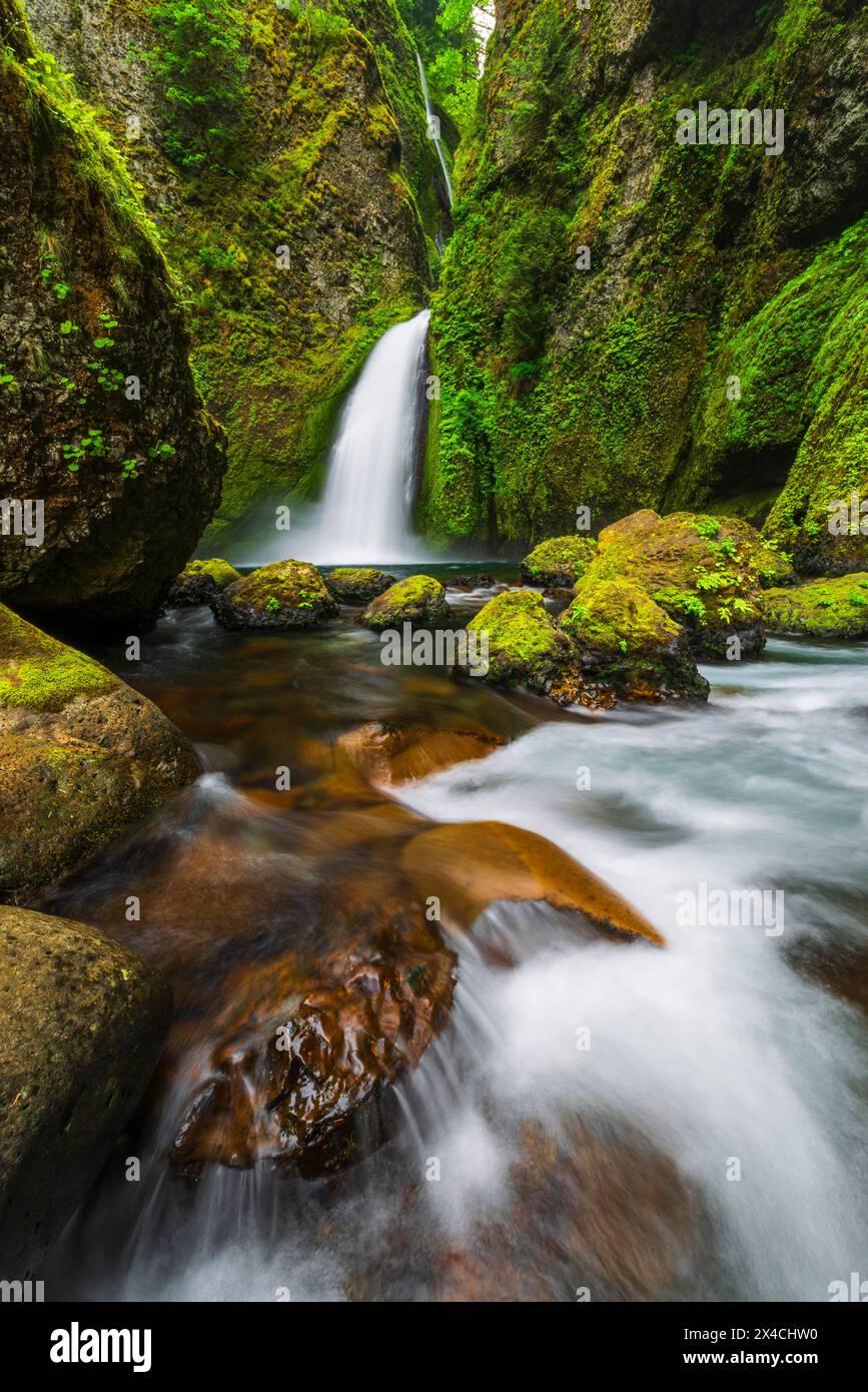 Wahclella Falls Columbia River Gorge National Scenic Area Oregon USA