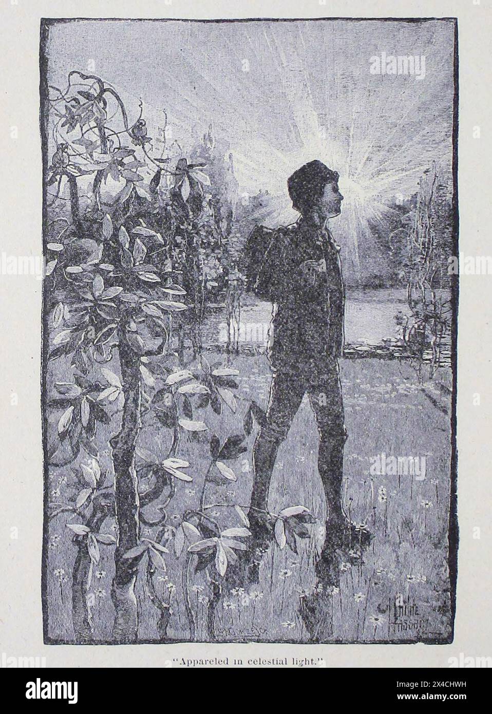 Celestial connection hi-res stock photography and images - Alamy