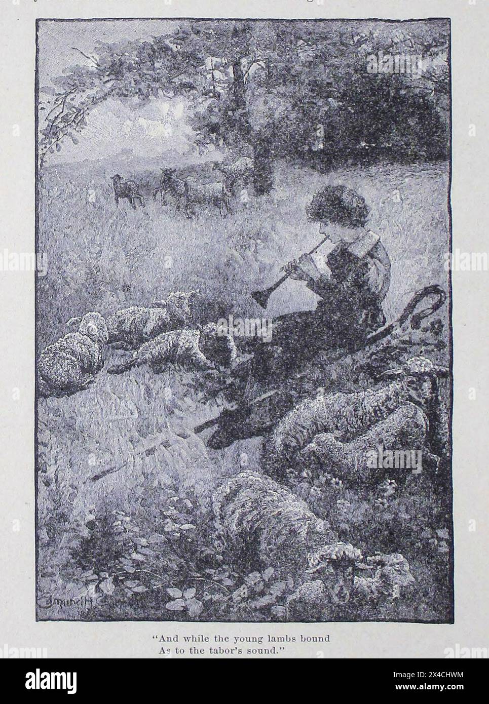 Historic tabors hi-res stock photography and images - Alamy