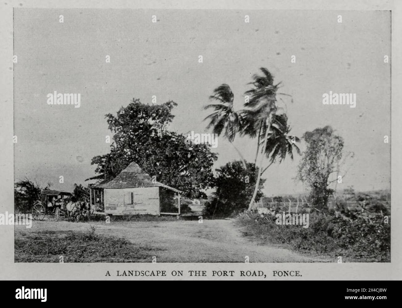 LANDS'AI'E ON THE PORT ROAD, PONCE. from the Article THE EXPLOITATION ...