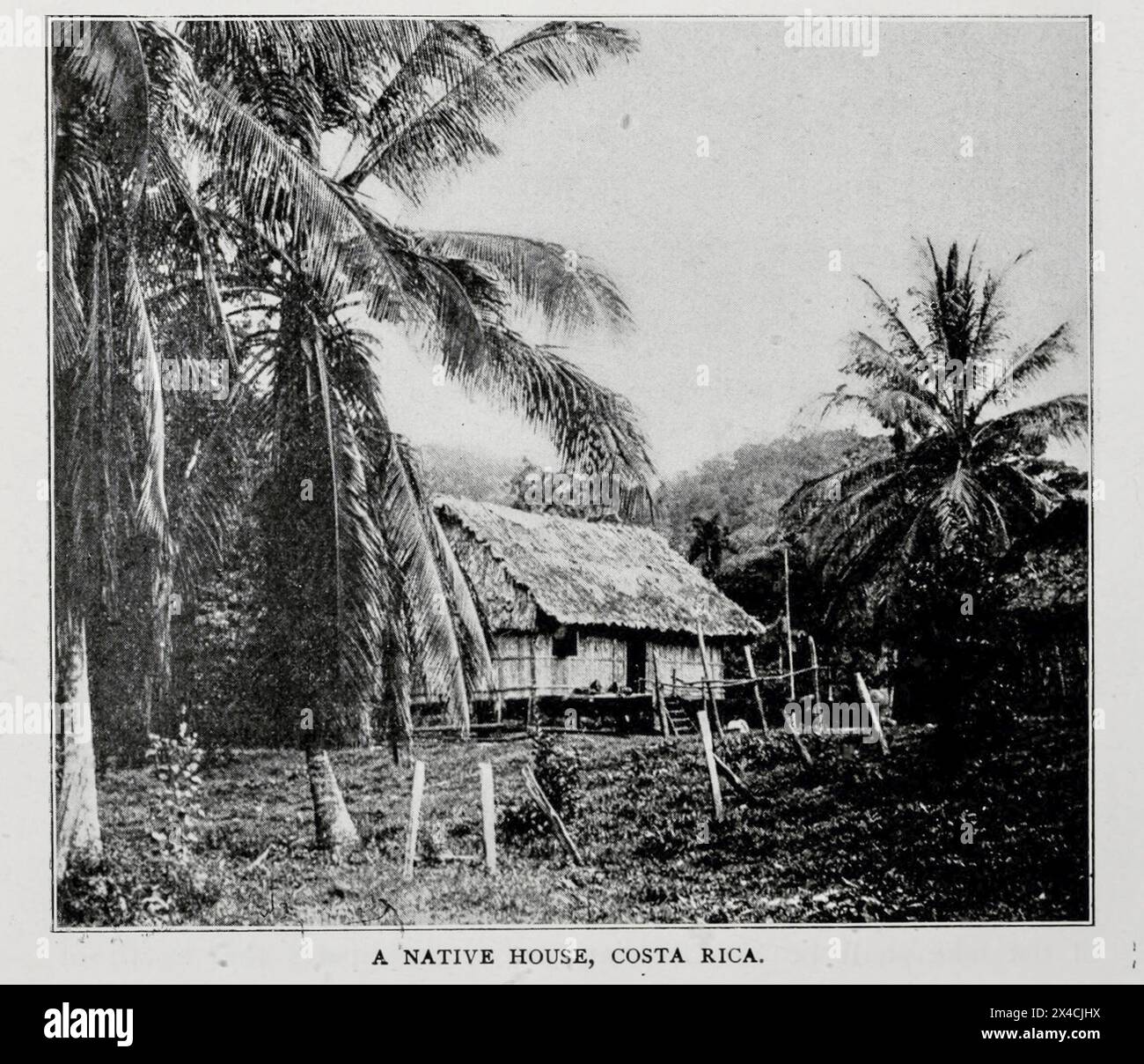 A Native House Costa Rica from the Article REVIEW OF THE NICARAGUA ...
