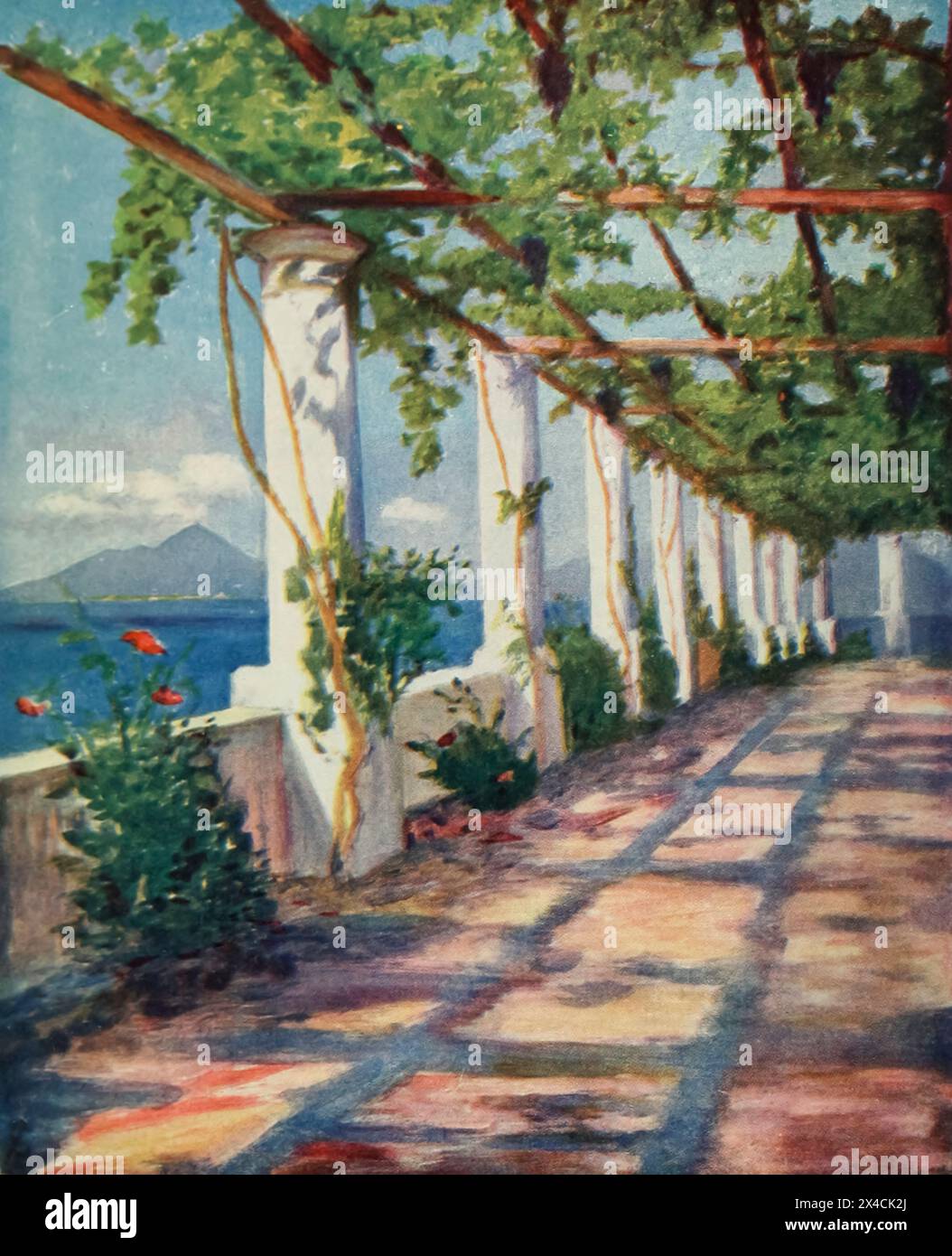 PERGOLA In the summer villa of Doctor Munthe, above Anacapri. The villa ...