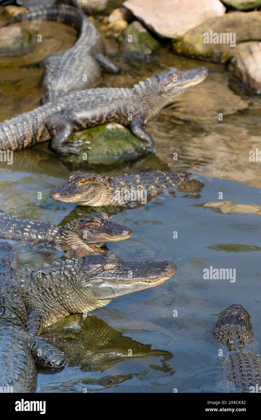 USA, Texas, Cameron County. South Padre Island, South Padre Island ...