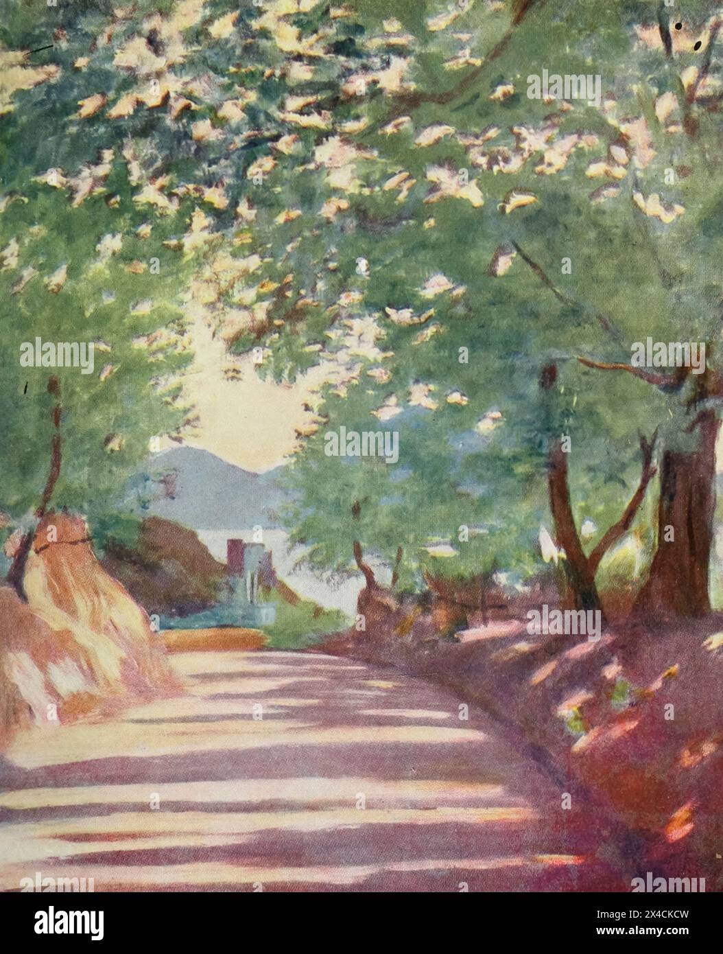 Evening near Massa, Peninsula of Sorrento from the book ' Naples ...