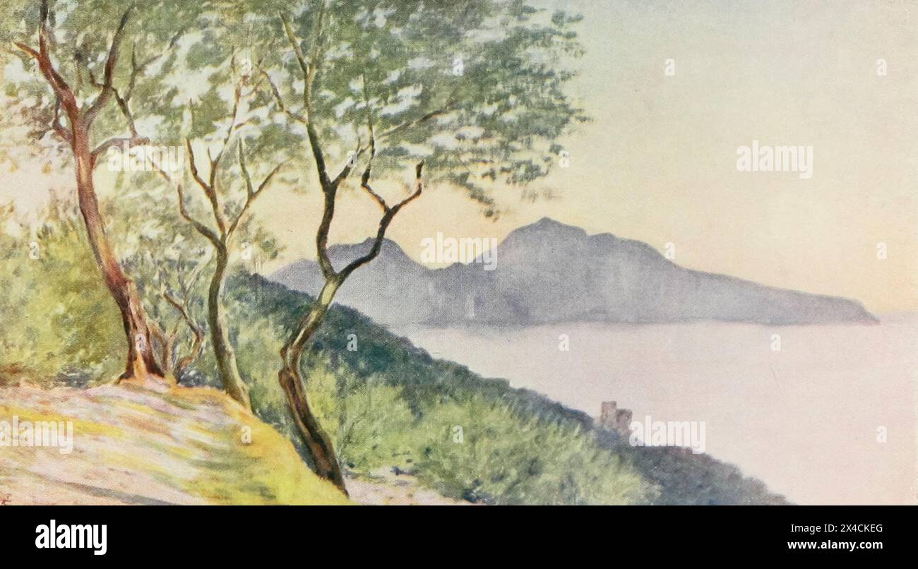 Capri View taken from Massa through the olive groves. from the book ...