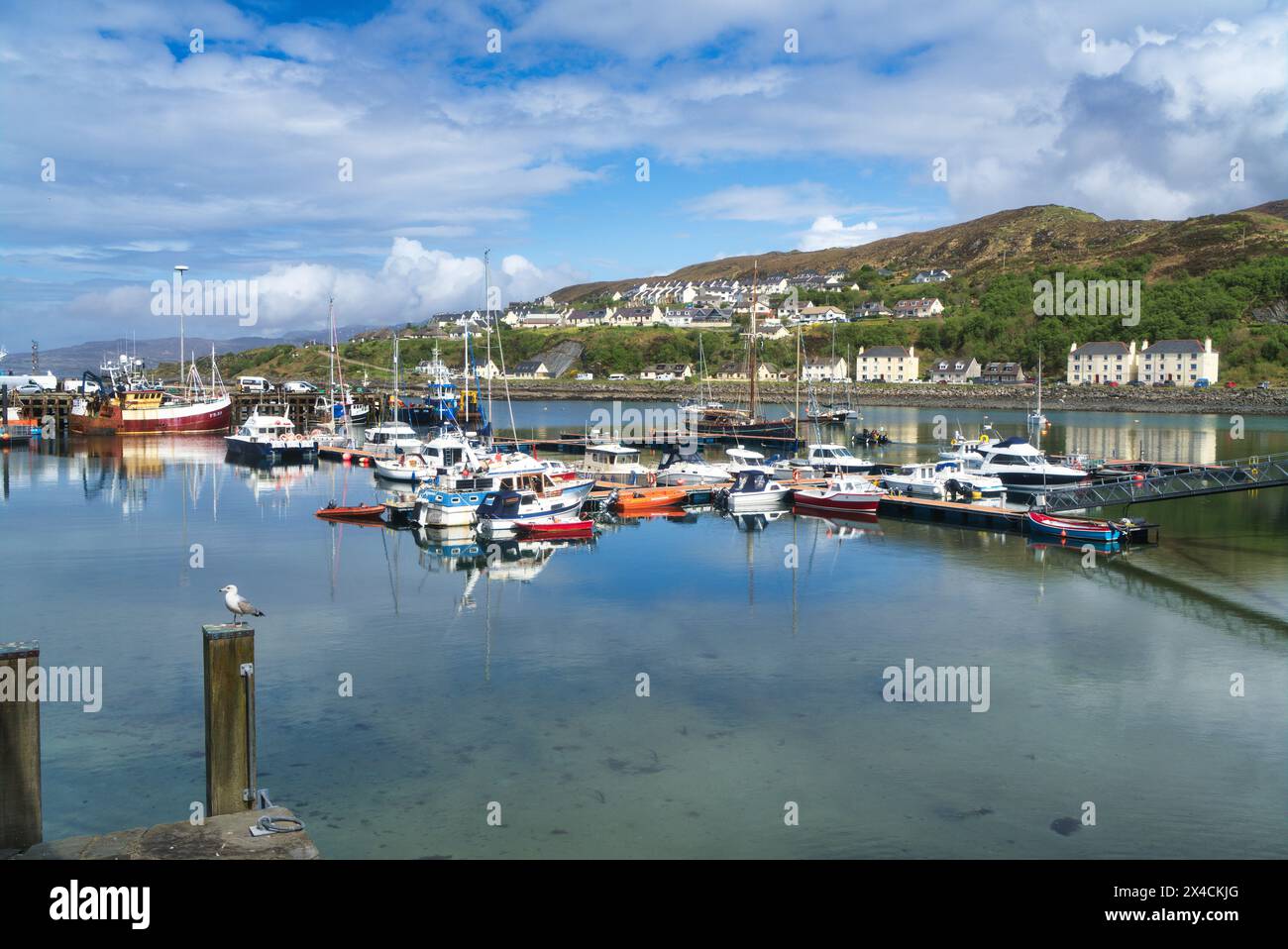 Looking north east from busy Mallaig harbour towards village of Mallaig ...