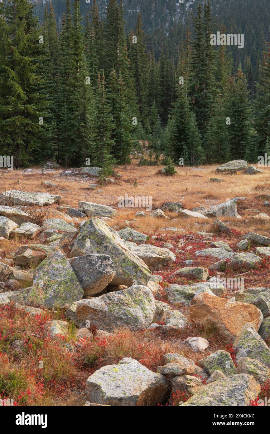 Washington State Pass meadows in fall color, North Cascades, Washington ...